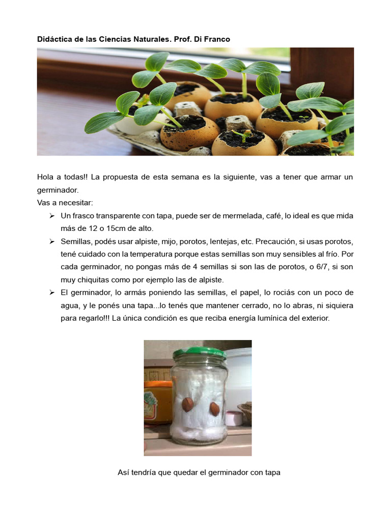 Consigna Del Germinador | PDF