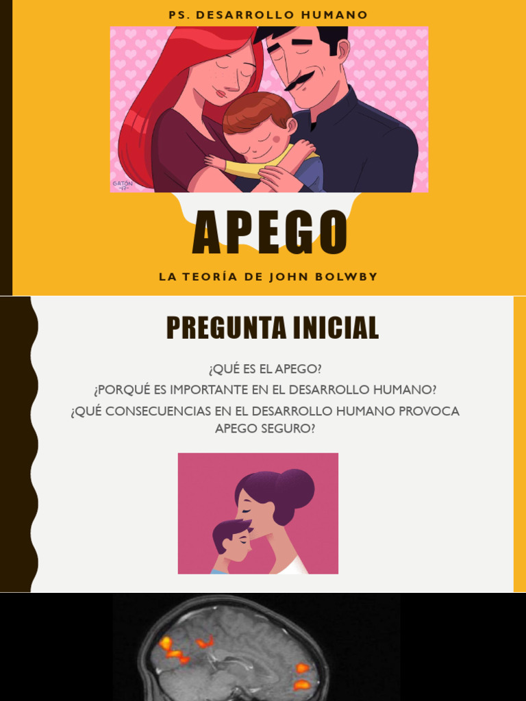 Clase 04 Apego 2025 | PDF | Teoría de apego | Desarrollo humano