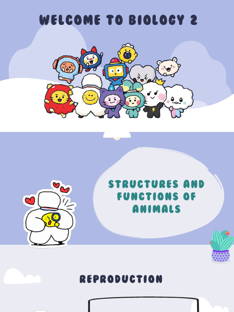 4 Structures and Functions of Animals | PDF | Sexual Reproduction ...
