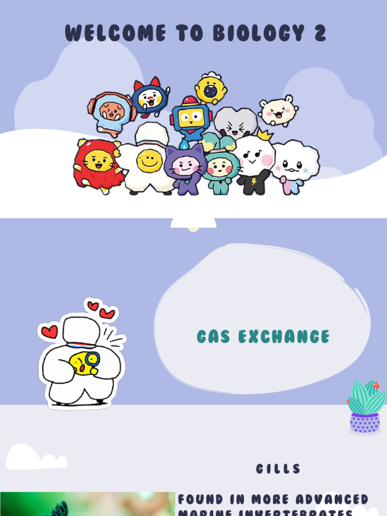 Gas Exchange Mechanisms in Animals | PDF | Gill | Lung