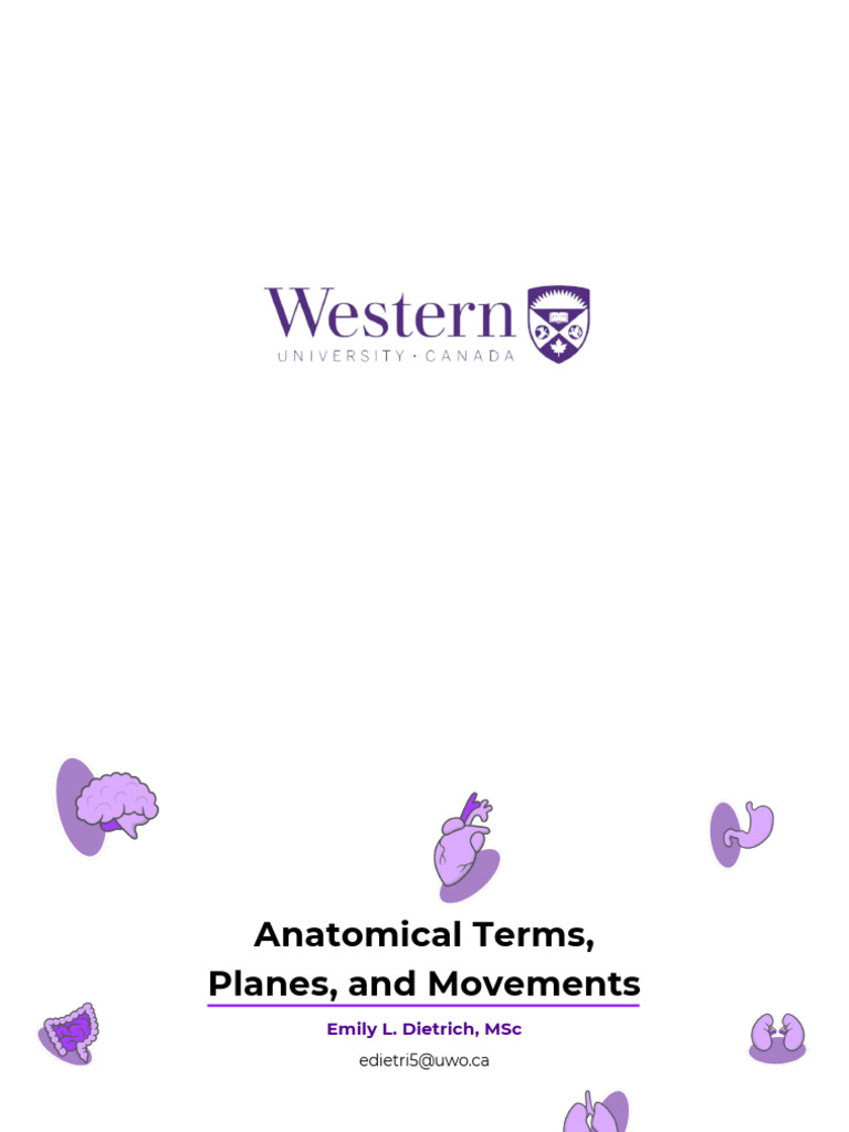 Week 1.1 - Anatomical Terms, Planes and Movements | PDF | Anatomical ...