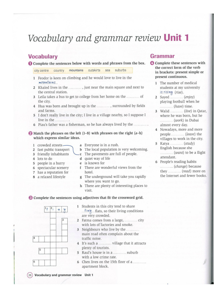 Review Vocab+Grammar 1 | PDF