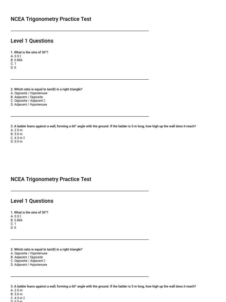 NCEA Level 1 Trigonometry Test | PDF | Trigonometry | Euclid
