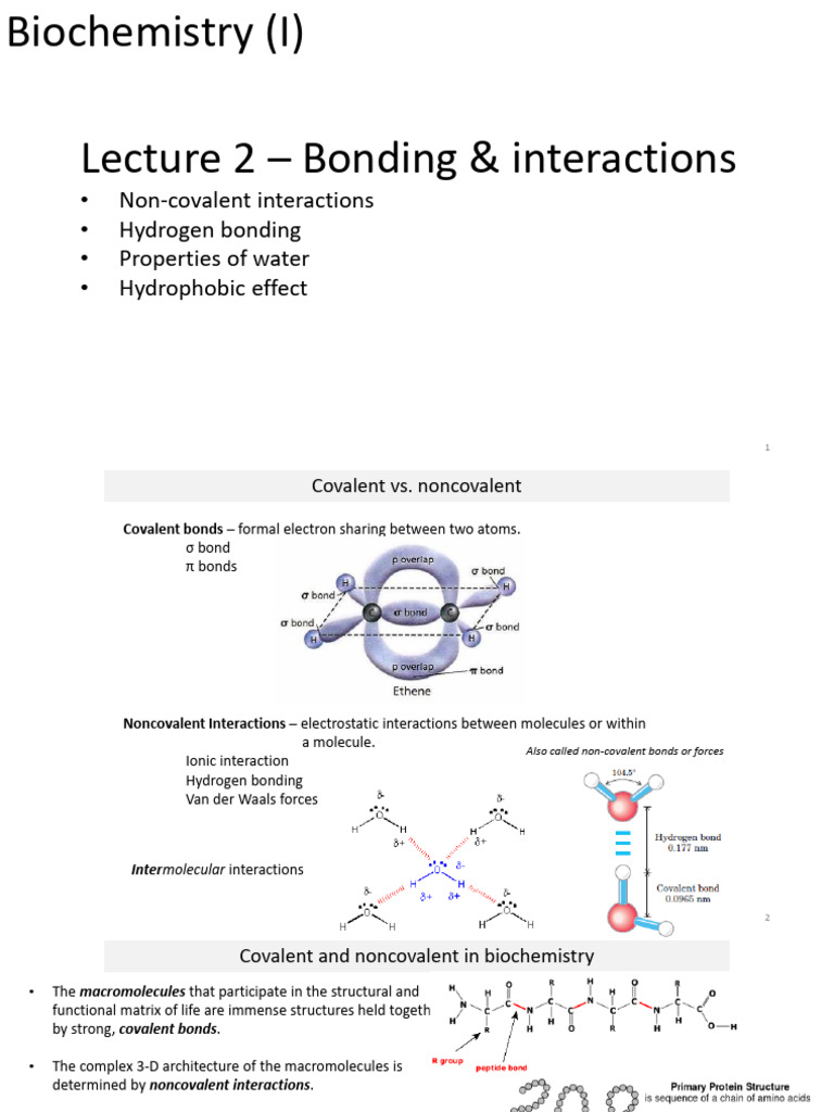 Biochem I - Lecture 2 - Bonding Interactions | PDF | Solvation ...
