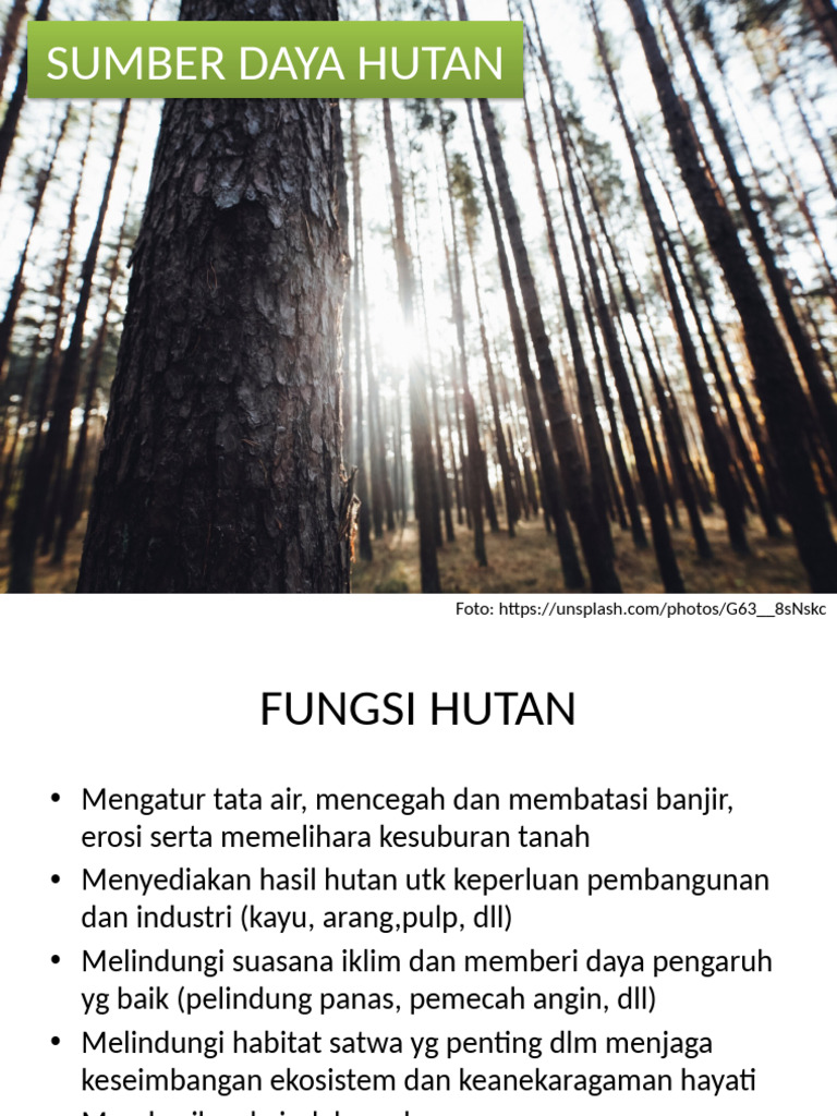 Peran dan Jenis Sumber Daya Hutan | PDF