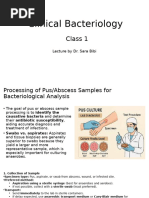 SOP for Pus Sample Collection and Analysis | PDF | Wound | Streptococcus