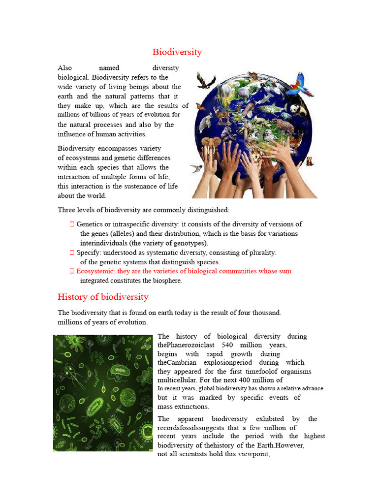 Biodiversity Ult | PDF | Biodiversity | Extinction