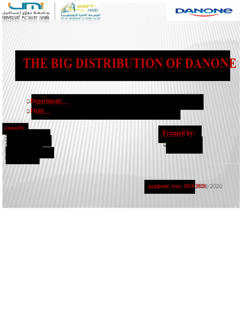 Danone's Global Distribution Strategy | PDF | Marketing | Brand