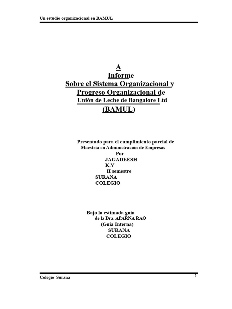 Proyecto Bamul | PDF | Mercado (economía) | Gestión de recursos humanos