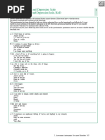 HADS Questionnaire and Scoring Guide | PDF | Emotions | Psychology