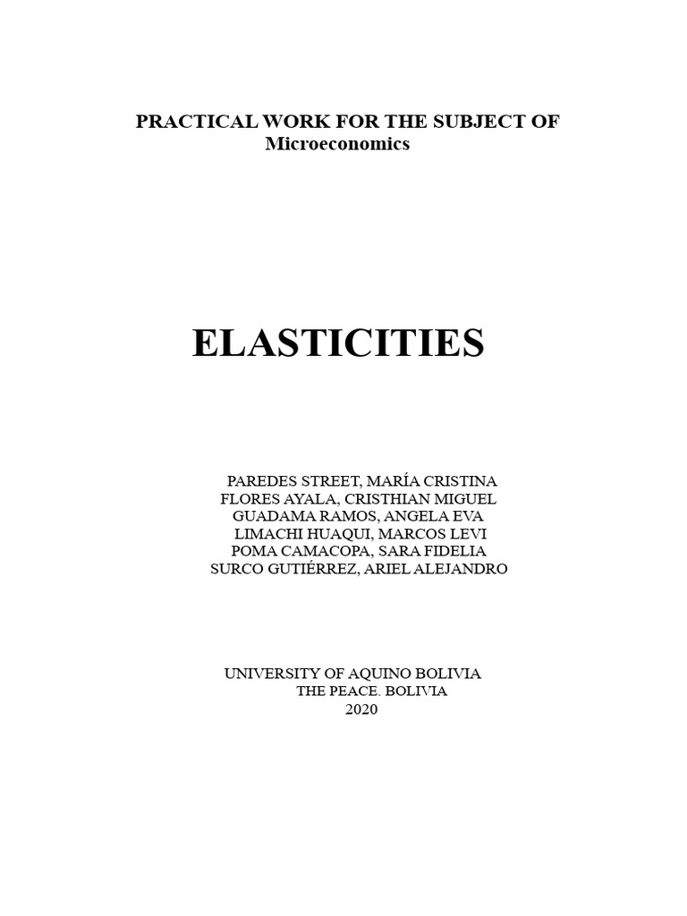 Practical Work Elasticities | PDF | Elasticity (Economics) | Demand