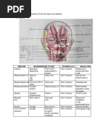 Anatomia Swini Atlas Interaktywny | PDF