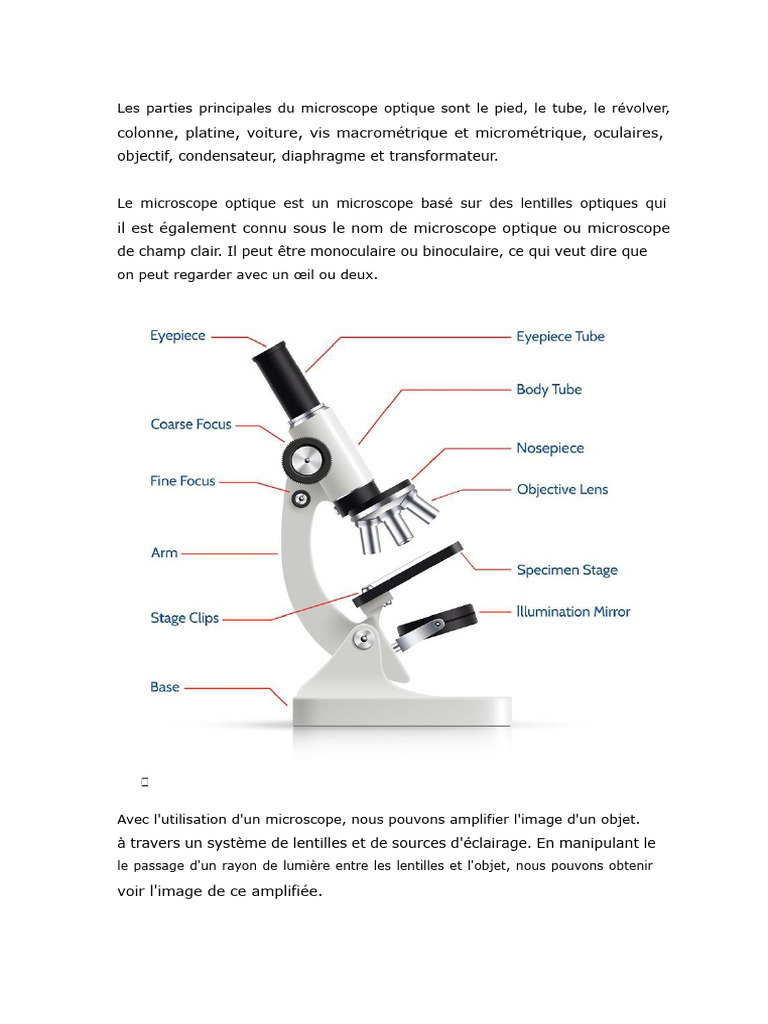 Microscope Et Ses Parties | PDF | Microscope | Optique