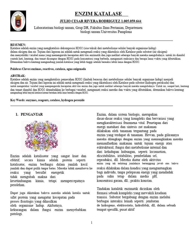 Aktivitas Enzim Katalase pada H2O2 | PDF