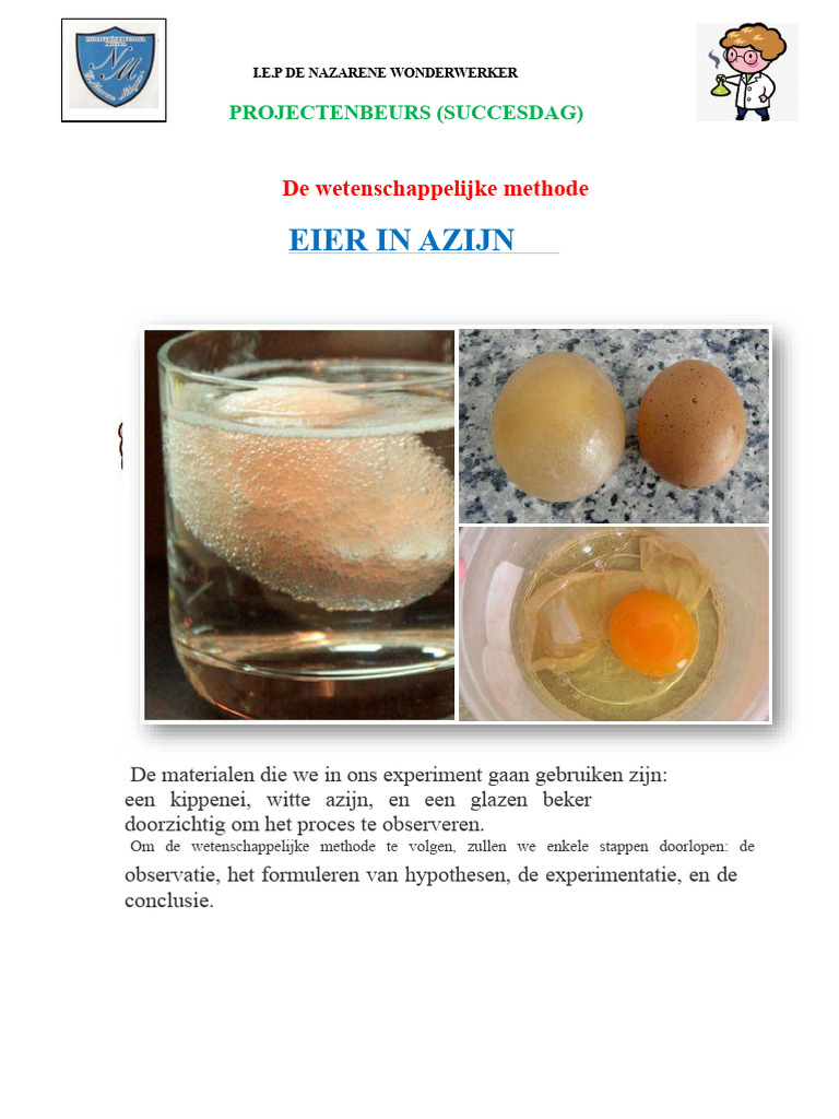 De Wetenschappelijke Methode | PDF