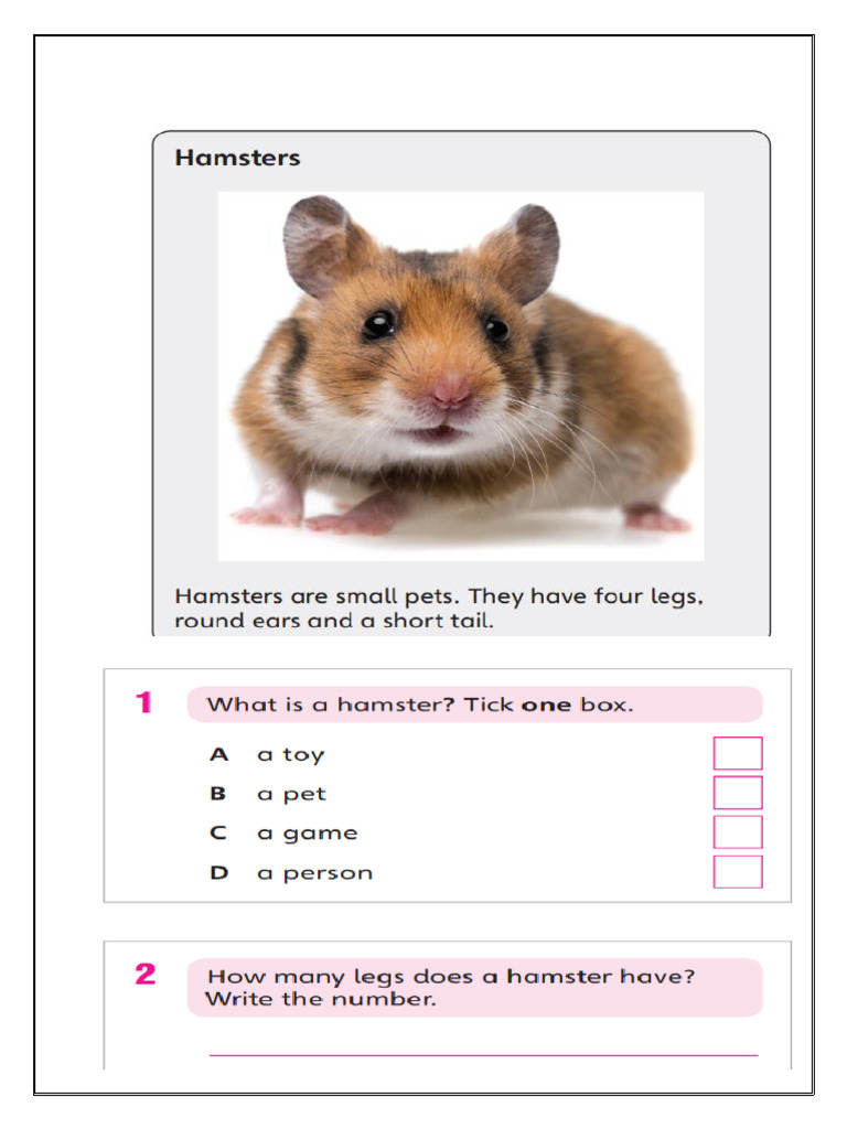 Year 1 Term 1 Reading Comprehension Hamster Revision | PDF