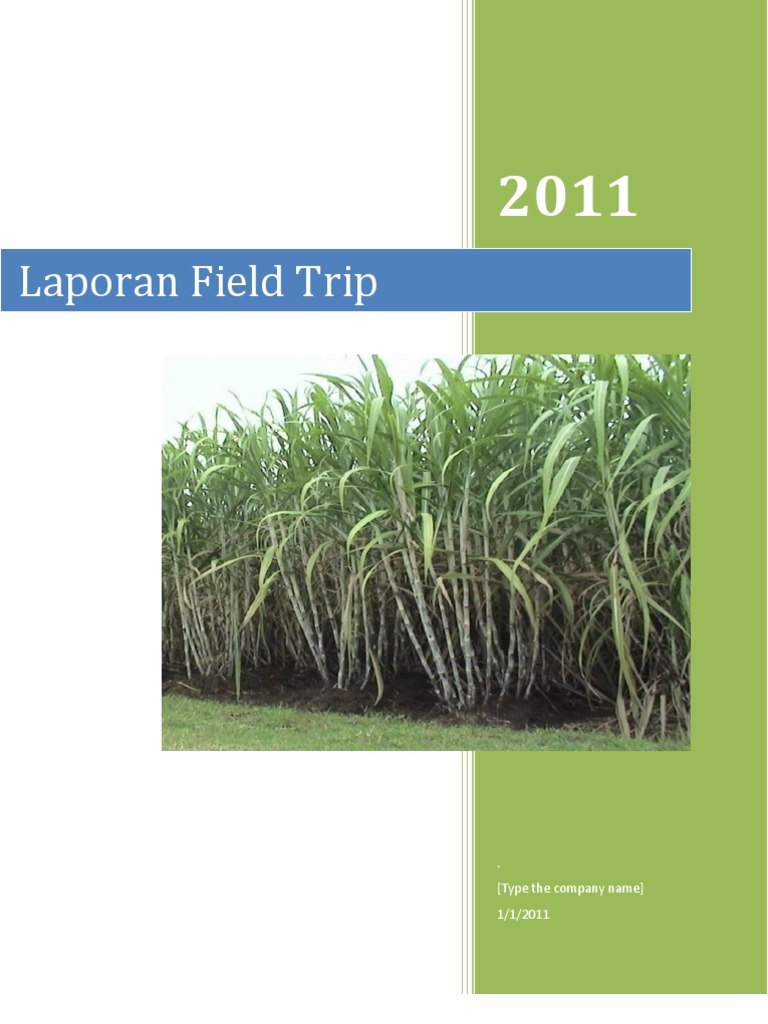 Agrowisata Pabrik Gula Madukismo | PDF | Teknologi & Rekayasa