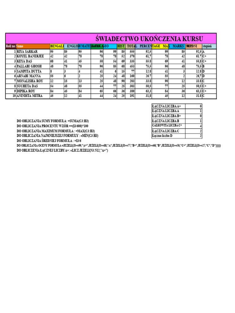 Projekt Arkusz Kalkulacyjny Excel | PDF