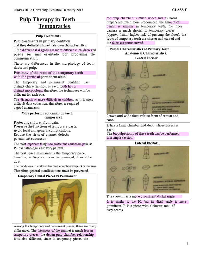 Class 11 - Pulp Therapy in Primary Teeth | PDF | Tooth | Dentistry