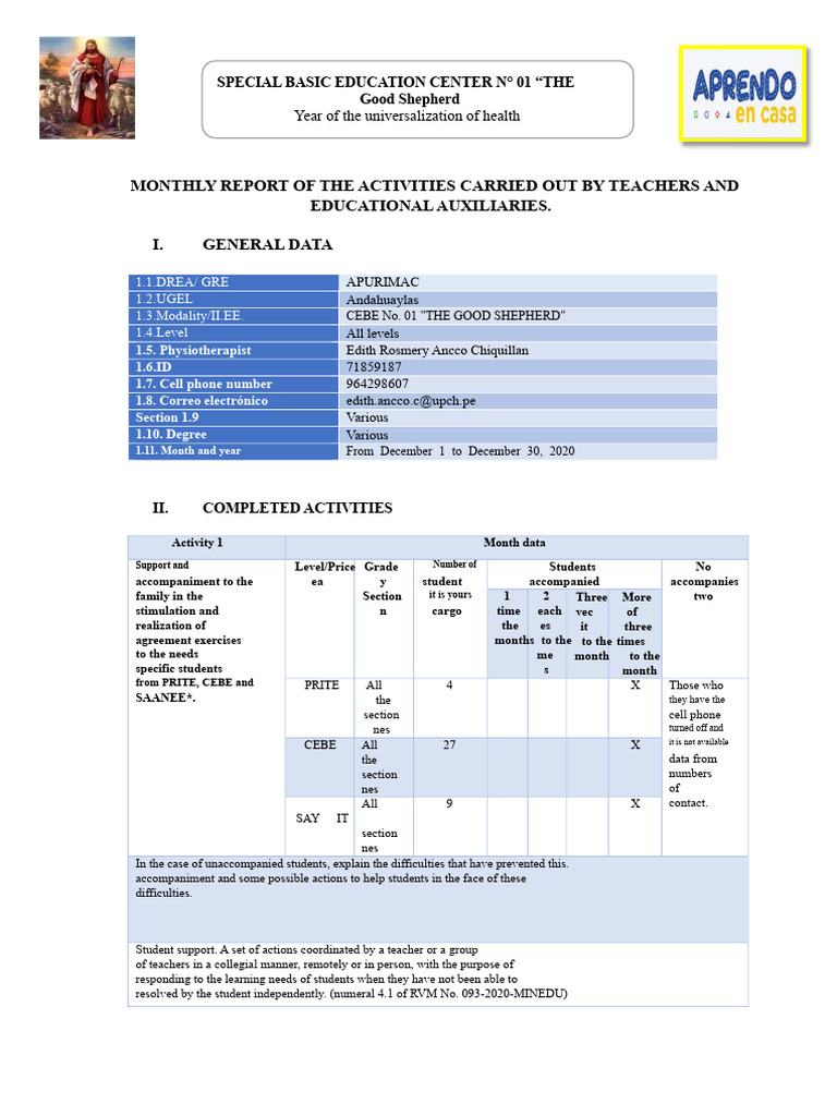 Monthly Report: CEBE No. 01 Activities | PDF | Physical Therapy ...