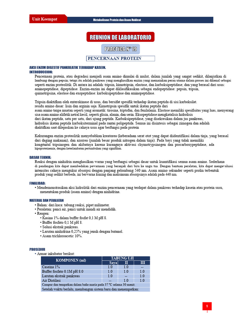 PRAKTIK 19. Pencernaan enzim pankreas terhadap kasein | PDF