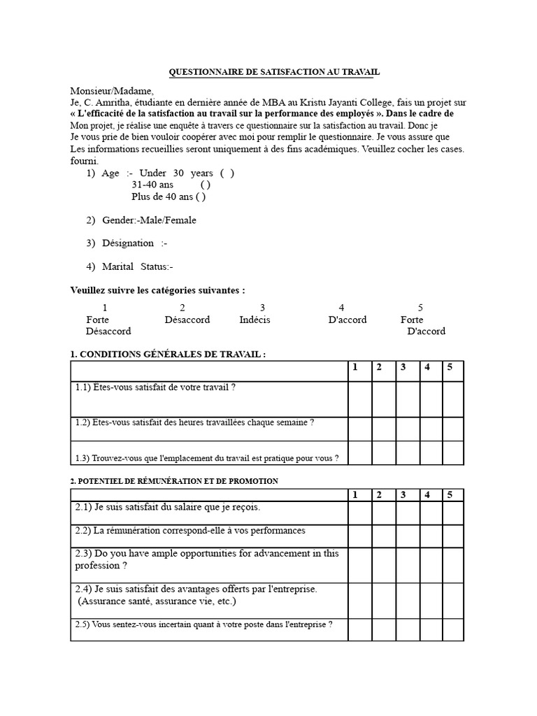 Questionnaire sur la Satisfaction au Travail | PDF