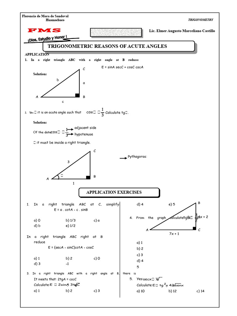 Trigonometric Ratios of Acute Angles | PDF | Trigonometry | Triangle ...