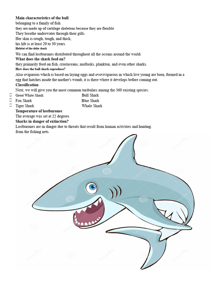 Main Characteristics of The Shark | PDF