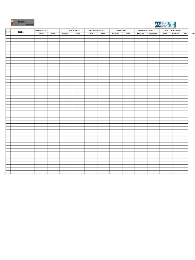12 Column Columns Worksheet Model | PDF | Balance Sheet | Equity (Finance)