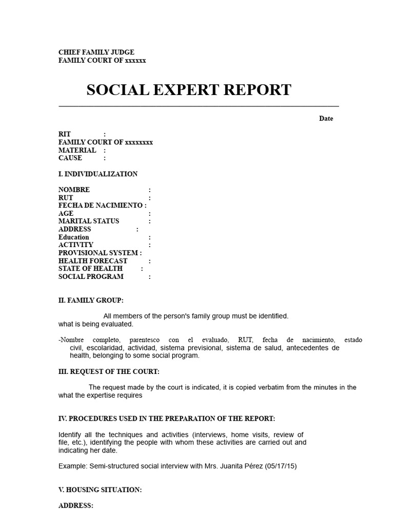 Format of Social Expert Report | PDF