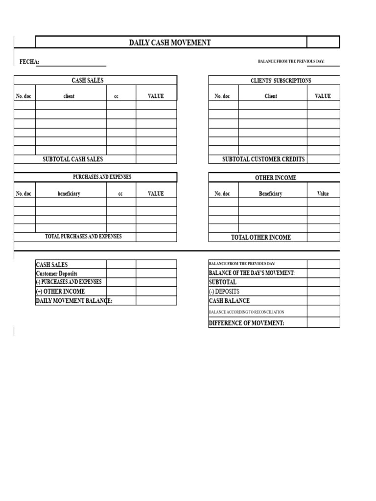 Daily Cash Movement Report Summary | PDF
