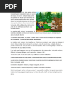 Résumé des chapitres de Pinocchio | PDF | Pinocchio