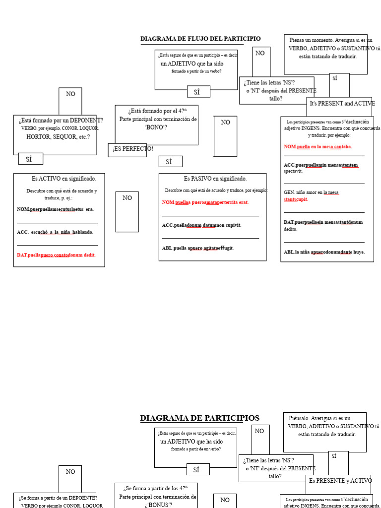 Diagrama de Flujo de Participios | PDF | Adjetivo | Tipología Lingüística
