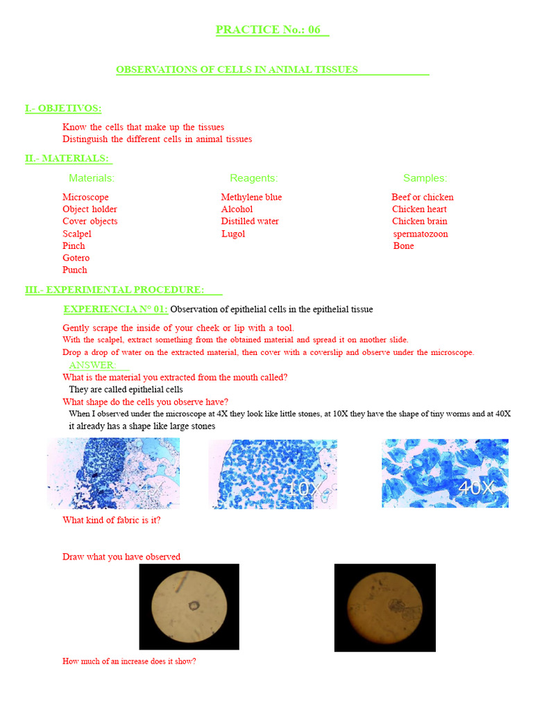 Practice No. | PDF | Tissue (Biology) | Histology