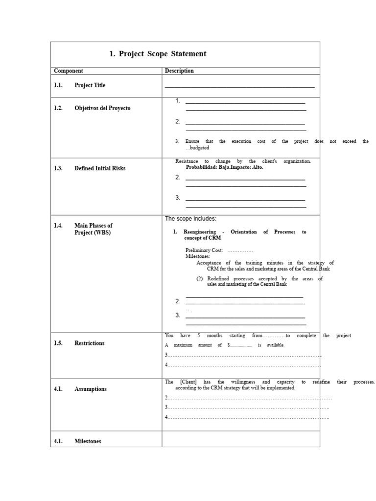 Project Scope Management Plan Overview | PDF | Customer Relationship ...