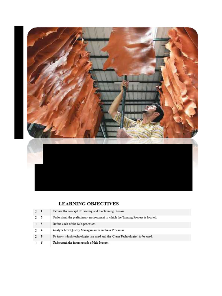 Tanning Process and Leather Production | PDF | Leather | Hide (Skin)