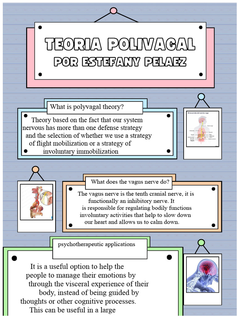 Polyvagal Theory by Estefany Pelaez | PDF