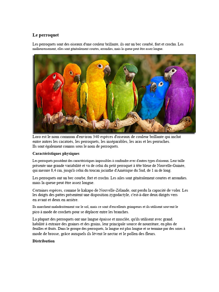 Caractéristiques et diversité des perroquets | PDF | Perroquet | Oiseaux