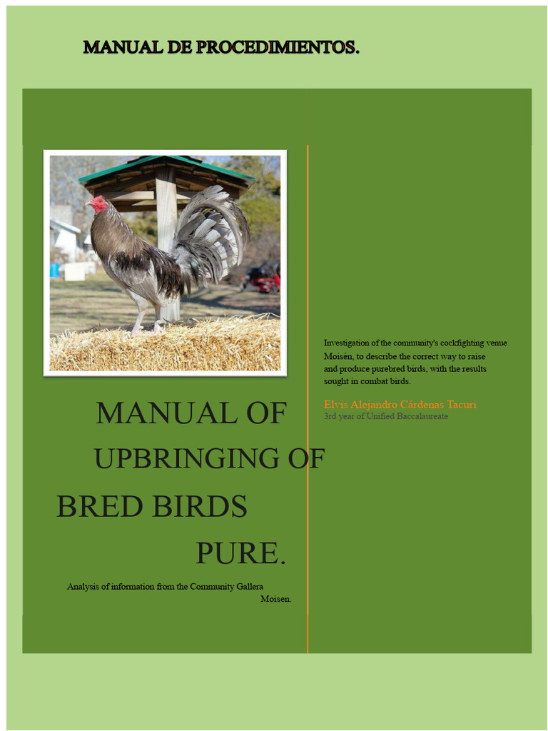 Original Project Manual | PDF | Chicken | Poultry Farming