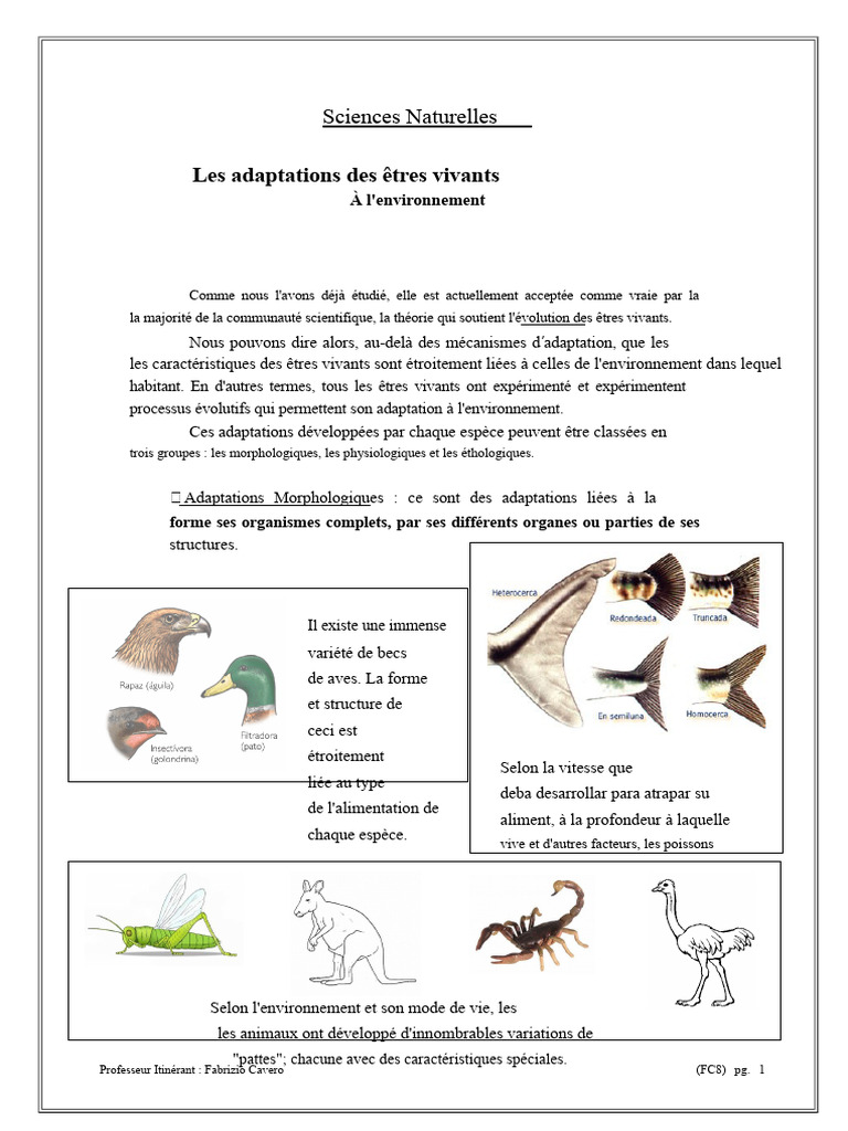 Adaptations des êtres vivants à l'environnement | PDF | Adaptation | Vie