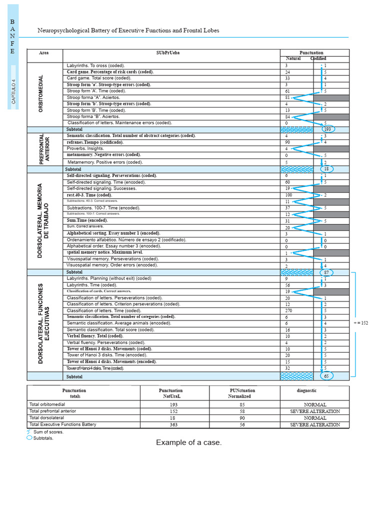 BANFE | PDF | Executive Functions | Dorsolateral Prefrontal Cortex