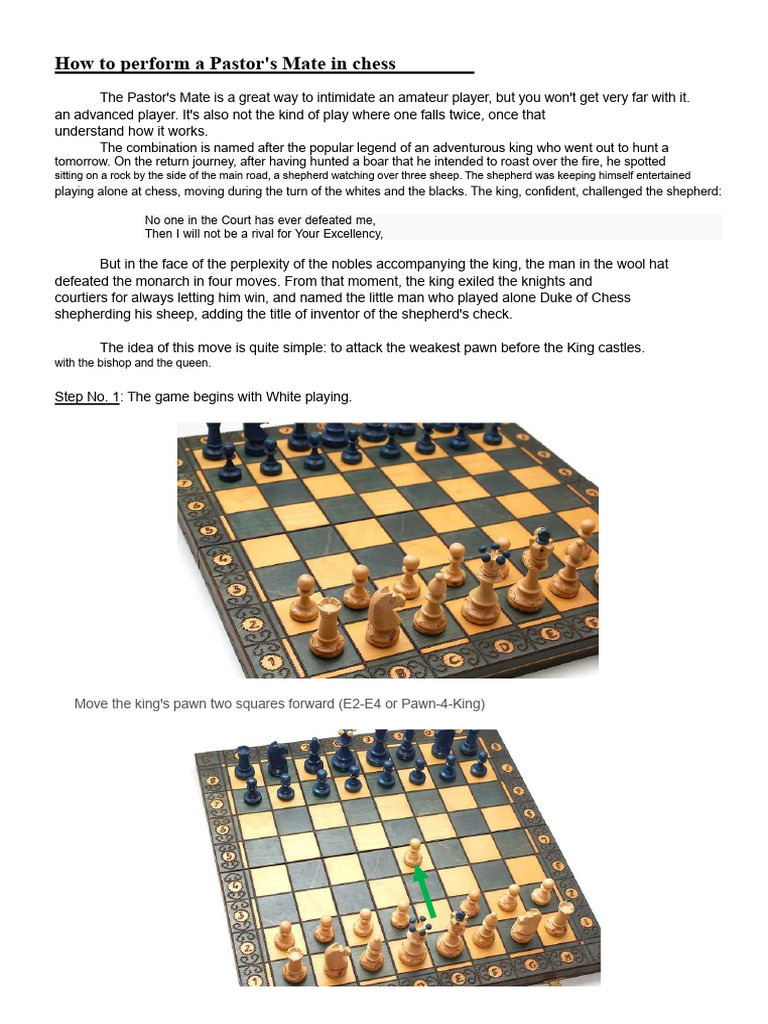 Shepherd's Mate Step by Step | PDF