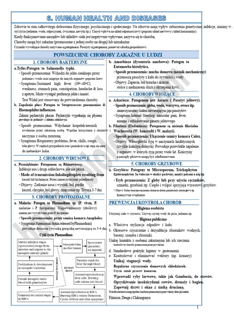 8 Zdrowie I Choroby Człowieka - Notatki | PDF