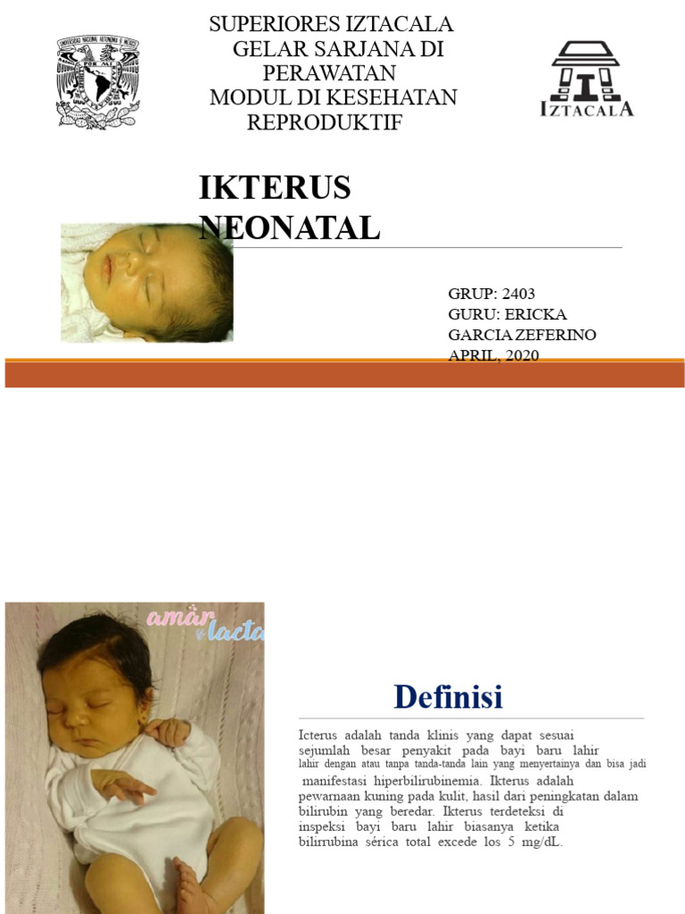 Ikterus Neonatal: Diagnosis dan Perawatan | PDF