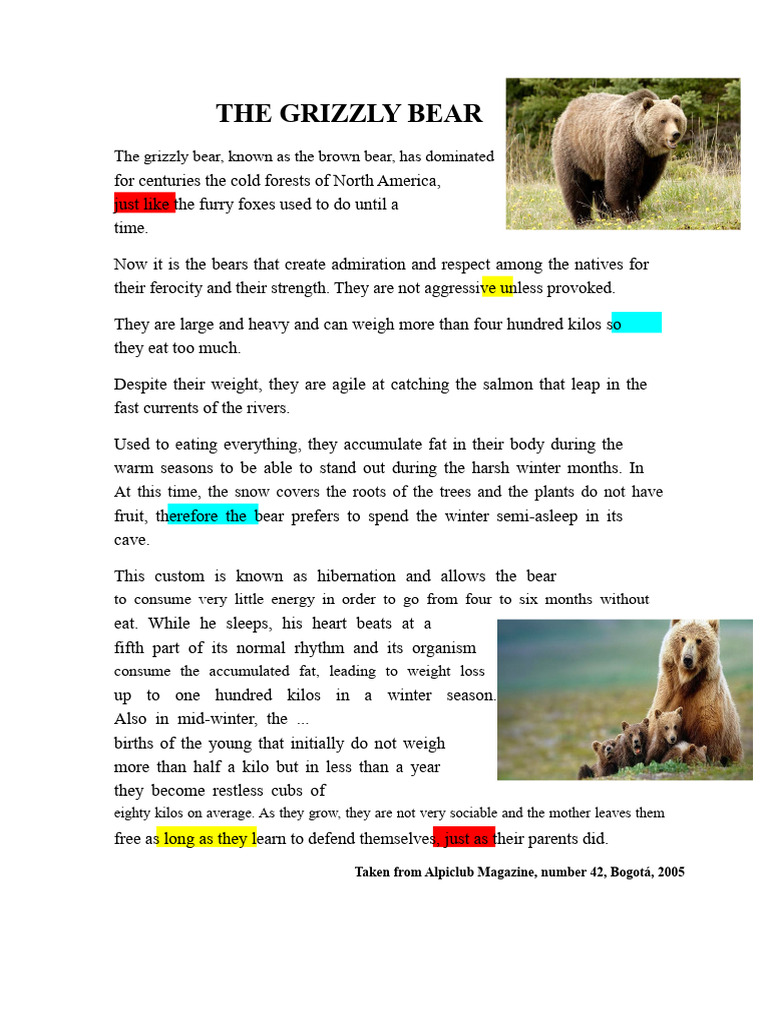 The Grizzly Bear | PDF