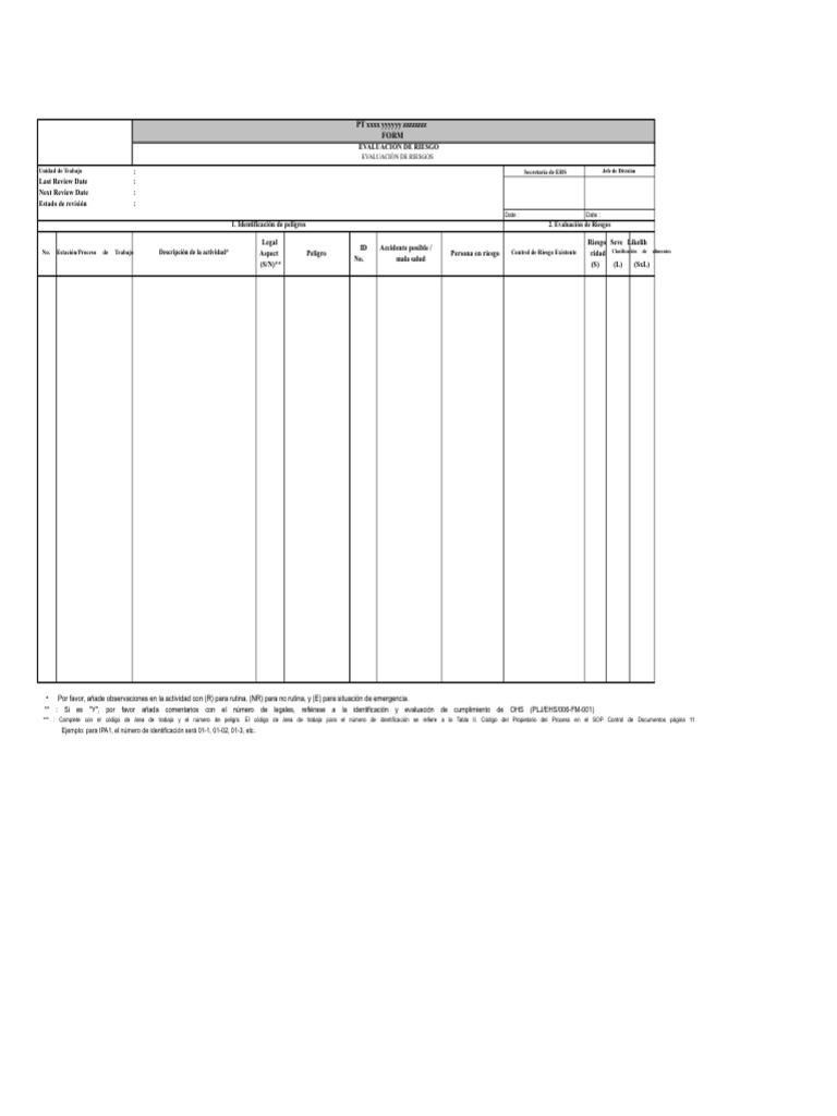 Formato HIRA | PDF