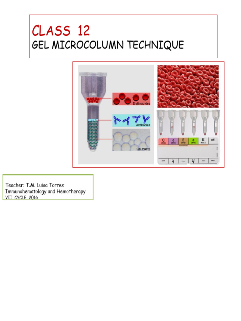 Class 12 Gel Microcolumn Technology | PDF | Blood Plasma | Blood Type
