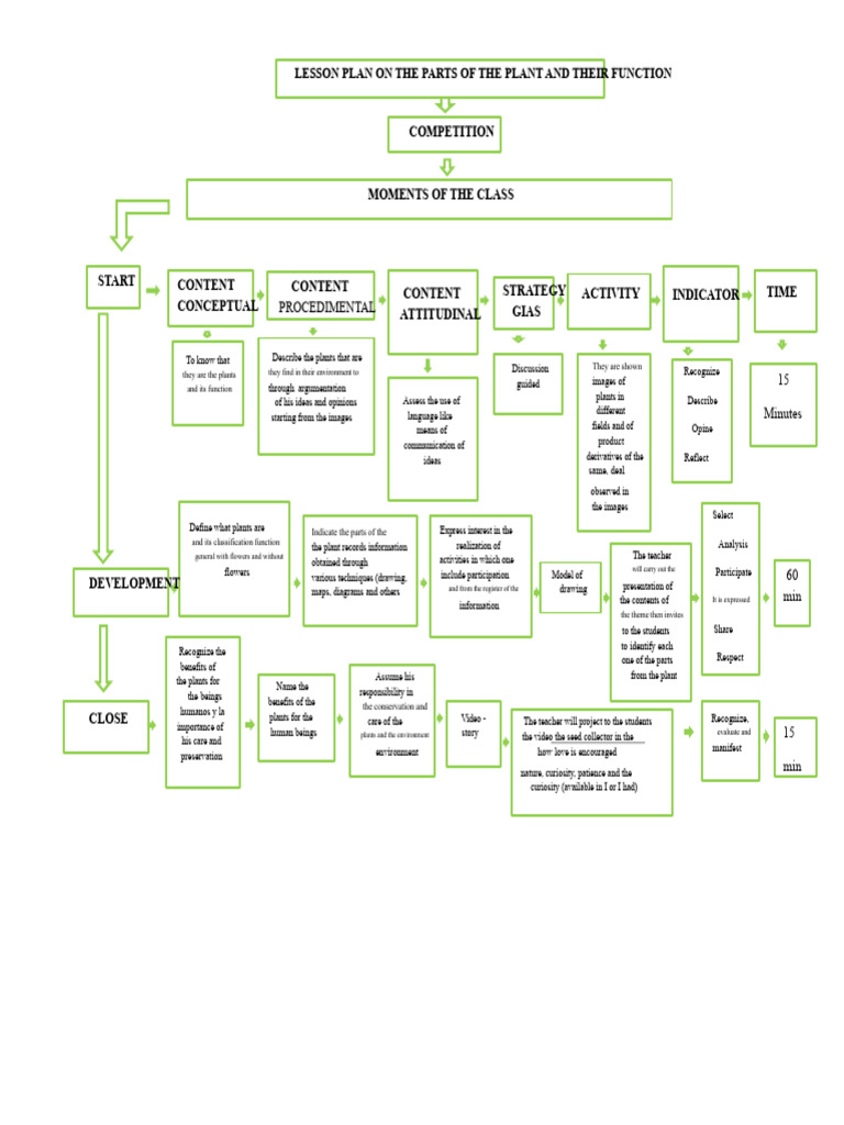 Plant Parts and Functions Lesson Plan | PDF | Lesson Plan | Function ...
