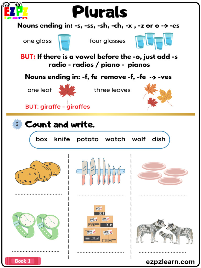 English Plural Noun Rules Guide | PDF