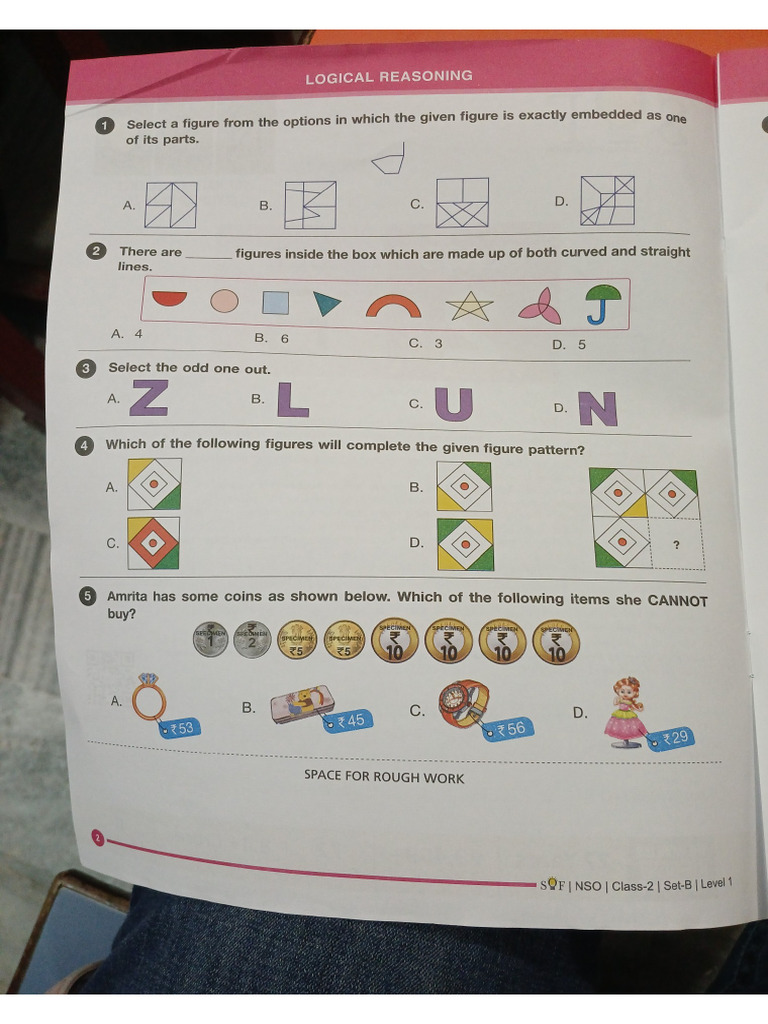 Class 2 Nso Paper Pdf